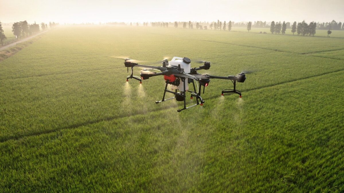 Qué son los Coadyuvantes Agrícolas y sus clasificaciones - Agrojaf
